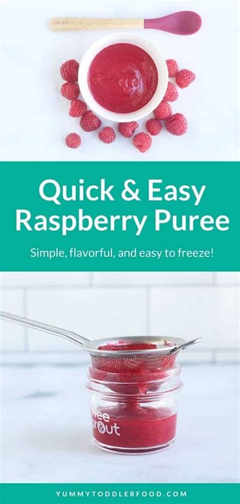 Fresh Raspberry Puree 5 Minutes To Make And Easy To Freeze