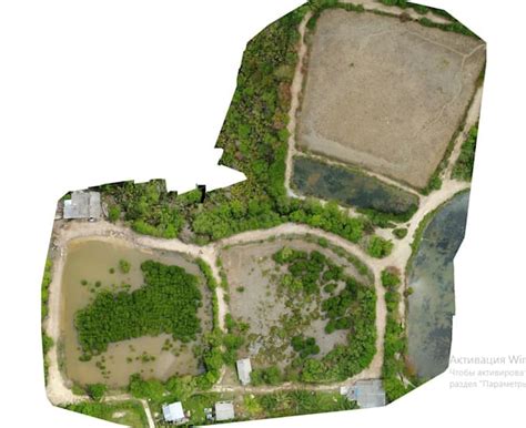 Do Orthophoto Dem Dtm Dsm Contours From Drone Footage Point Cloud Survey By Alexuavgis