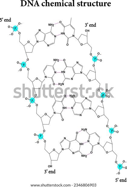 Antiparallel Orientation Royalty Free Images Stock Photos Pictures Shutterstock