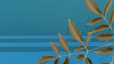 브랜딩 및 포장 프리젠 테이션에 대한 최소한의 배경블루 산호 연단 잎 산호 배경 3d 렌더링 그림 0명에 대한 스톡 사진 및 기타 이미지 Istock