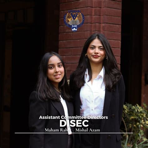 DISEC – LGS IMUN VI