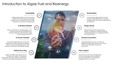 Top 10 Algae Powerpoint Presentation Templates In 2026