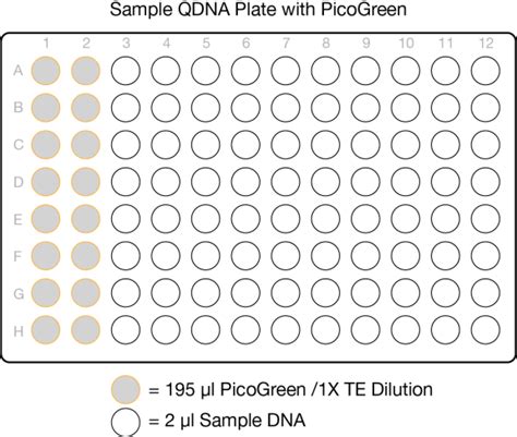 Quantify Dna Optional