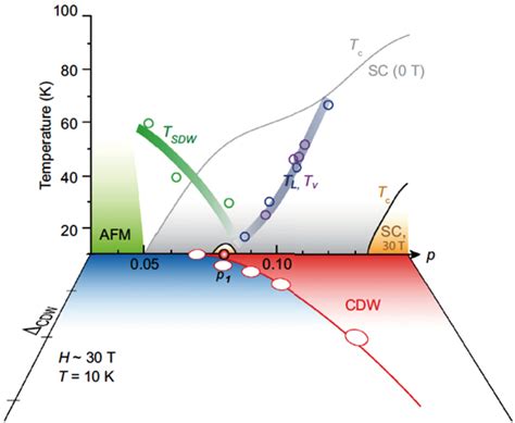High Magnetic Field Induced Charge Order In High T C Cuprate Superconductors Project