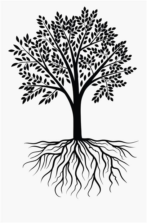 Tree Root Vector Png Free Transparent Clipart Clipartkey My XXX Hot Girl