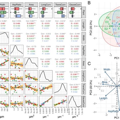 Pairwise Comparison And Principal Component Analysis Of Morphological