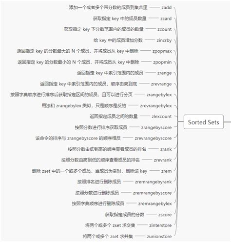 Redis中的zset数据类型的基本操作 三脚半猫 博客园