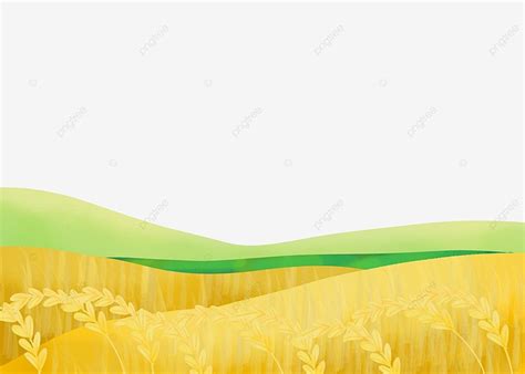 망고 일러스트 심기 밀 일러스트밭 절기 미스 카 투스 보리밭 범퍼 수확 Png 일러스트 및 Psd 이미지 무료 다운로드 Pngtree