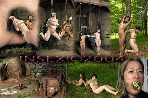 INSEX ARCHIVES Updates