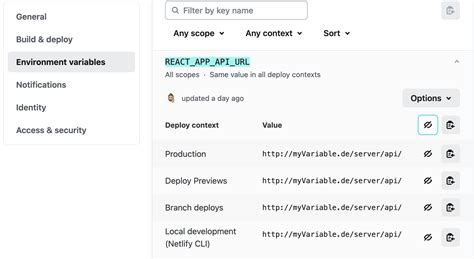 How To Use Environmental Variables Set In Netlify Ui Reactapp