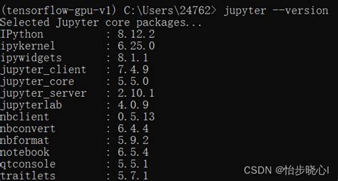 报错！Jupyter notebook 500 : Internal Server Error_jupyter notebook conda ...