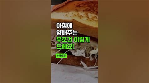 아침에 양배추는 무조건 이렇게 드세요 중년을 위한 건강한 음식 건강한 정보 건강정보tv 지식 건강 Youtube