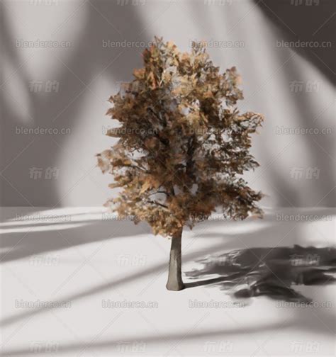 Blender树木blender布的模型191 Blender布的