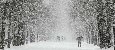 Навалить майже 20 сантиметрів снігу до України йде серйозна негода Український Простір