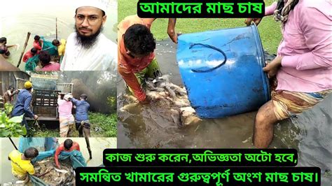 আমাদের মাছ চাষ কাজ শুরু করেন অভিজ্ঞতা অটো হবে Youtube