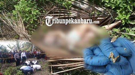 Terungkap Identitas Jasad Wanita Tanpa Kepala Di Dumai Warga Pekanbaru