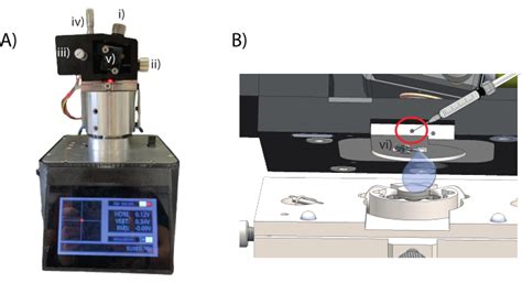 High Speed Atomic Force Microscopy Imaging Of Dna Three Point Star