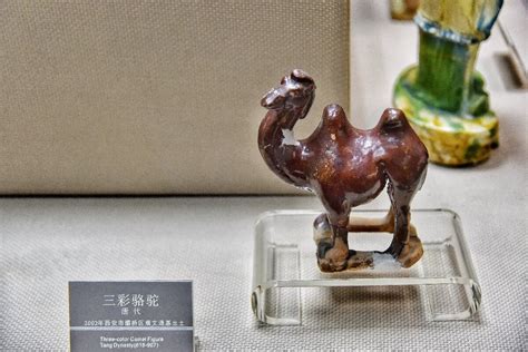 西安文物介绍何家村大山谷图库