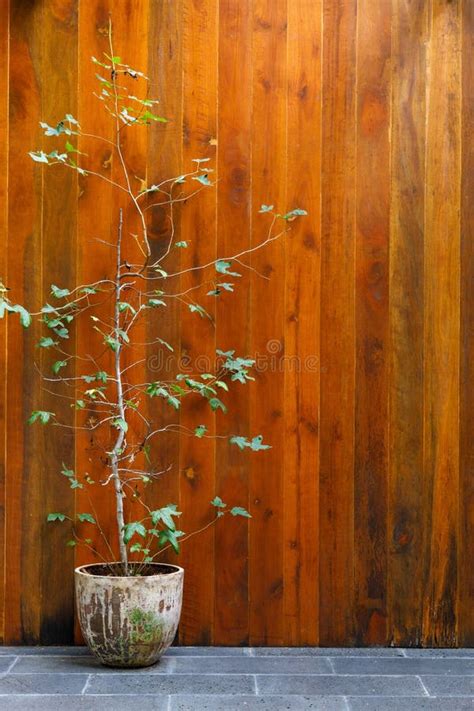 Interior Design Of A Japanese Style Coffee Shop Cafe Design Interior