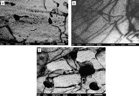 Scanning Electron Micrographs Showing Dislocation Arrangement In A 4 Download Scientific