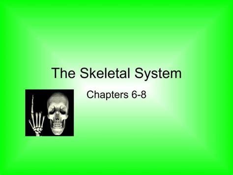 The Skeletal System Chapter 6 PPT