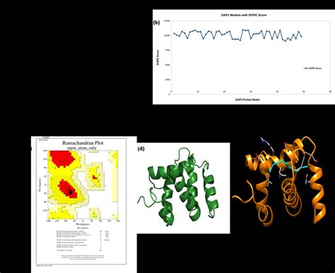 Figure S7 Phylogenetic And Structural Analysis Of SAP2 Download Scientific Diagram