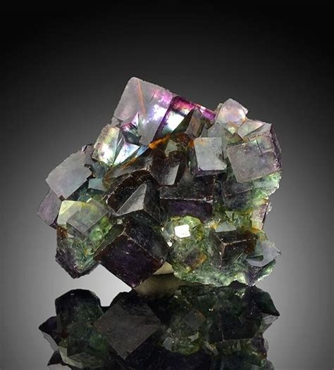 Minerals Crystals And Fossils Crystals Minerals And Gemstones Rocks