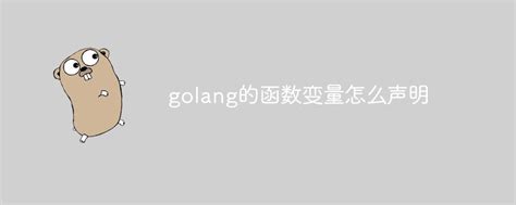 golang的函数变量怎么声明 叮当号