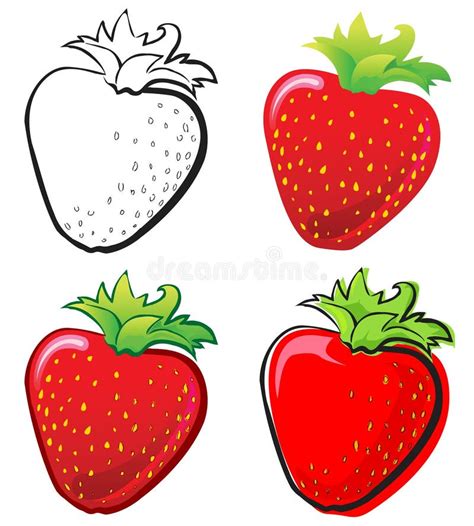 Fases De Crecimiento De La Fresa Ilustración Del Vector Ilustración
