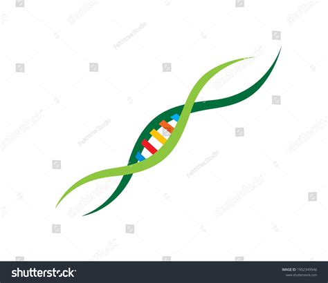 Simple Colorful Dna Strand Logo Stock Vector Royalty Free 1952349946