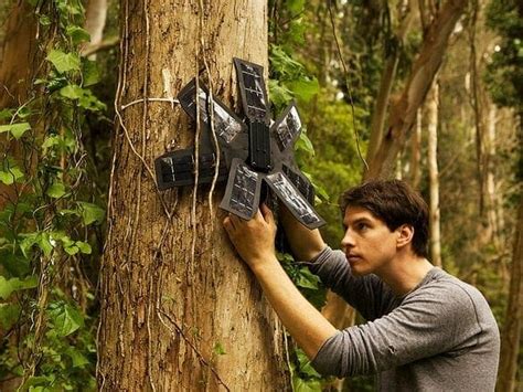Rainforest Connection Transforming Old Smartphones Into Deforestation