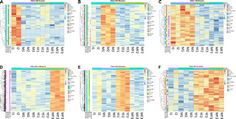 Frontiers Protandric Transcriptomes To Uncover Parts Of The Crustacean Sex Differentiation Puzzle