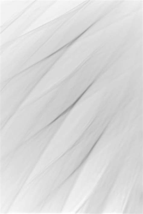 가벼운 가벼움 고요한 관념적인 교활한 그림자 깃털 깃털 질감 깃털 패턴 깨지기 쉬운 매끄러운 몽환 미니멀