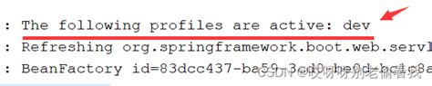 idea 工具下启动 springboot 实例指定加载的配置文件 idea指定配置文件启动 csdn博客