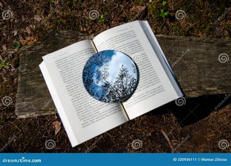Metaphor Reading Is Like Growing A Tree Stock Image Image Of Living Education 320936111