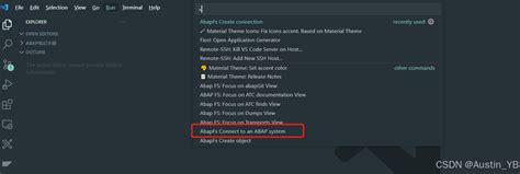 Vscode中搭建abap开发环境vscode Abap Csdn博客