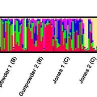 Bar Plot Representing The Results From Bayesian Assignment Tests Download Scientific Diagram