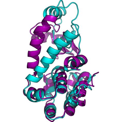 Pdb Ihm Validation Report Pdb Ihm Validation Report