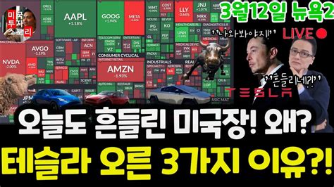 미국주식시황왜 오늘도 흔들렸나 테슬라 오른 3가지 이유엔비디아 구글 애플 아마존 메타 마이크로소프트 리비안 소파이