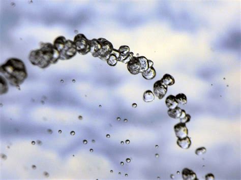 Spitting Or Swallowing A Matter Of Preference