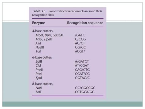 Restriction Modification System Types Of Restriction Enzymes Pptx