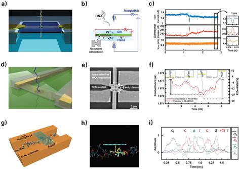 Single‐molecule Dna Detections By 2d Material‐based Biosensors A