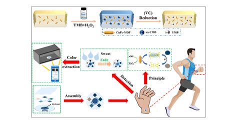 Coencapsulating Tmb Probes And Bimetallic Mof Nanozymes In A Hydrogel Patch For Fabricating