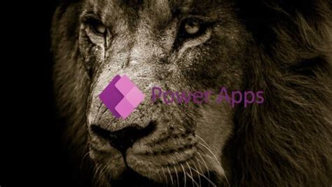 Power Apps Interview Questions Practice Tests Gururo