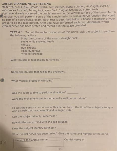 Solved LAB 10 CRANIAL NERVE TESTING MATERIALS NEEDED Chegg Com