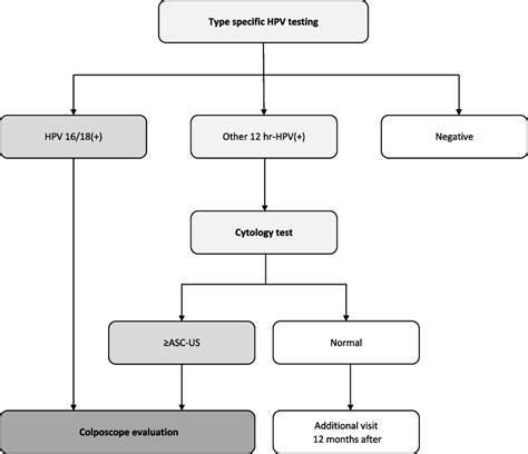 Cervical Cancer Screening Procedure Download Scientific Diagram