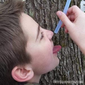 How To Make Syrup From Maples Other Trees RECOIL OFFGRID