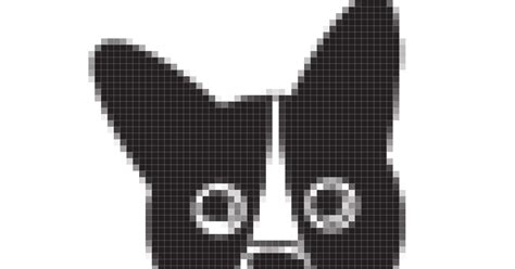 Graphic Formats Part III Raster File Formats