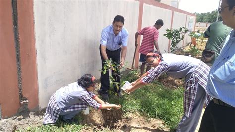 Tree Plantation Program At Kendriya Vidyalaya 2 Balasore Ankurwares
