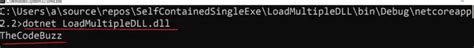 Load Multiple DLL As Single Exe In NET And NET Core TheCodeBuzz